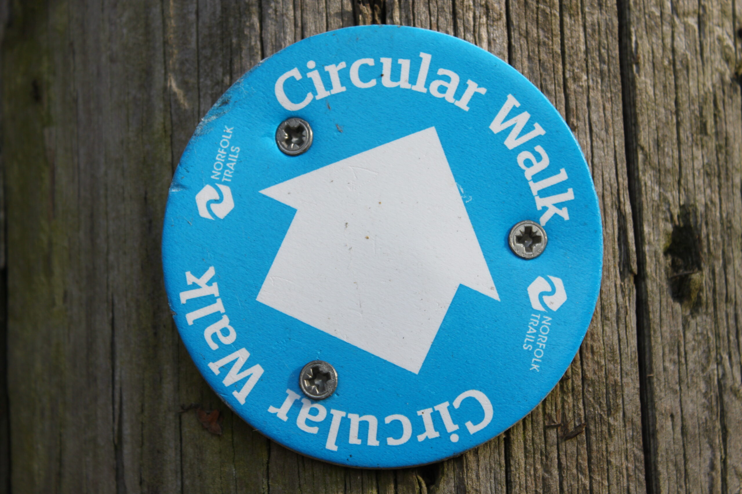 Gallery - Four Oaks Camping